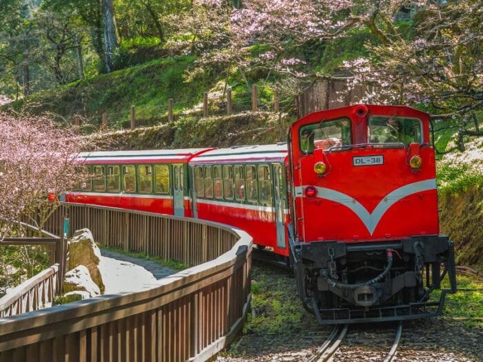 Alishan Travel Guide: Top 20 Things to Do, See and Eat in Alishan