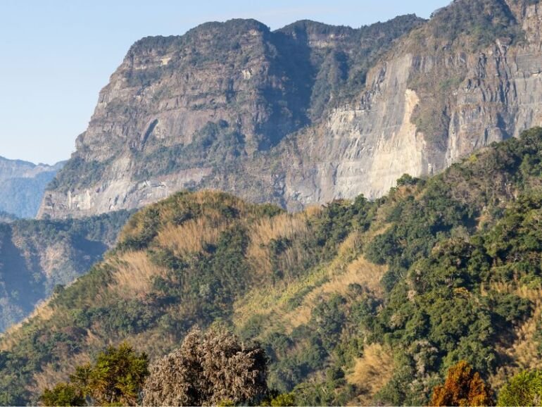 Alishan Travel Guide: Top 20 Things to Do, See and Eat in Alishan