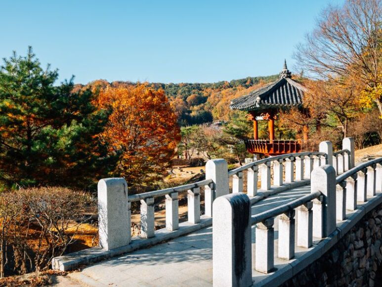 Andong Travel Guide: Top Things to Do, See and Eat in Andong