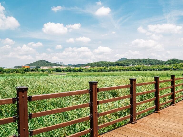 Ansan Travel Guide: Top 20 Things to Do in Ansan, South Korea