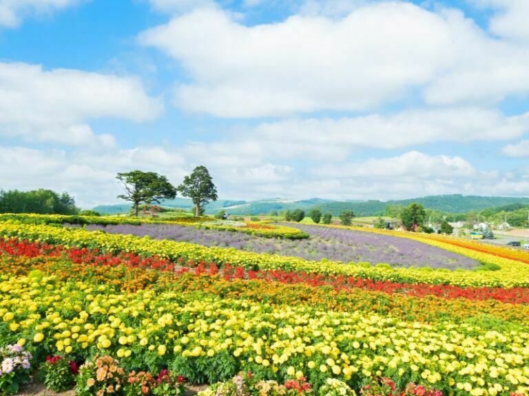 Asahikawa Travel Guide: Things to Do, See and Eat in Asahikawa