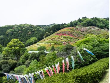 Atami Travel Guide: Top Things to Do, See and Eat in Atami, Japan