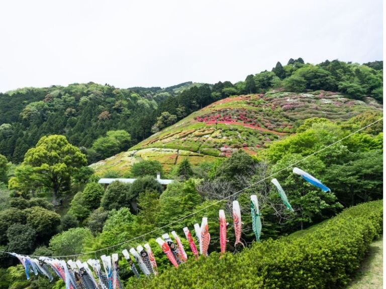 Atami Travel Guide: Top Things to Do, See and Eat in Atami, Japan