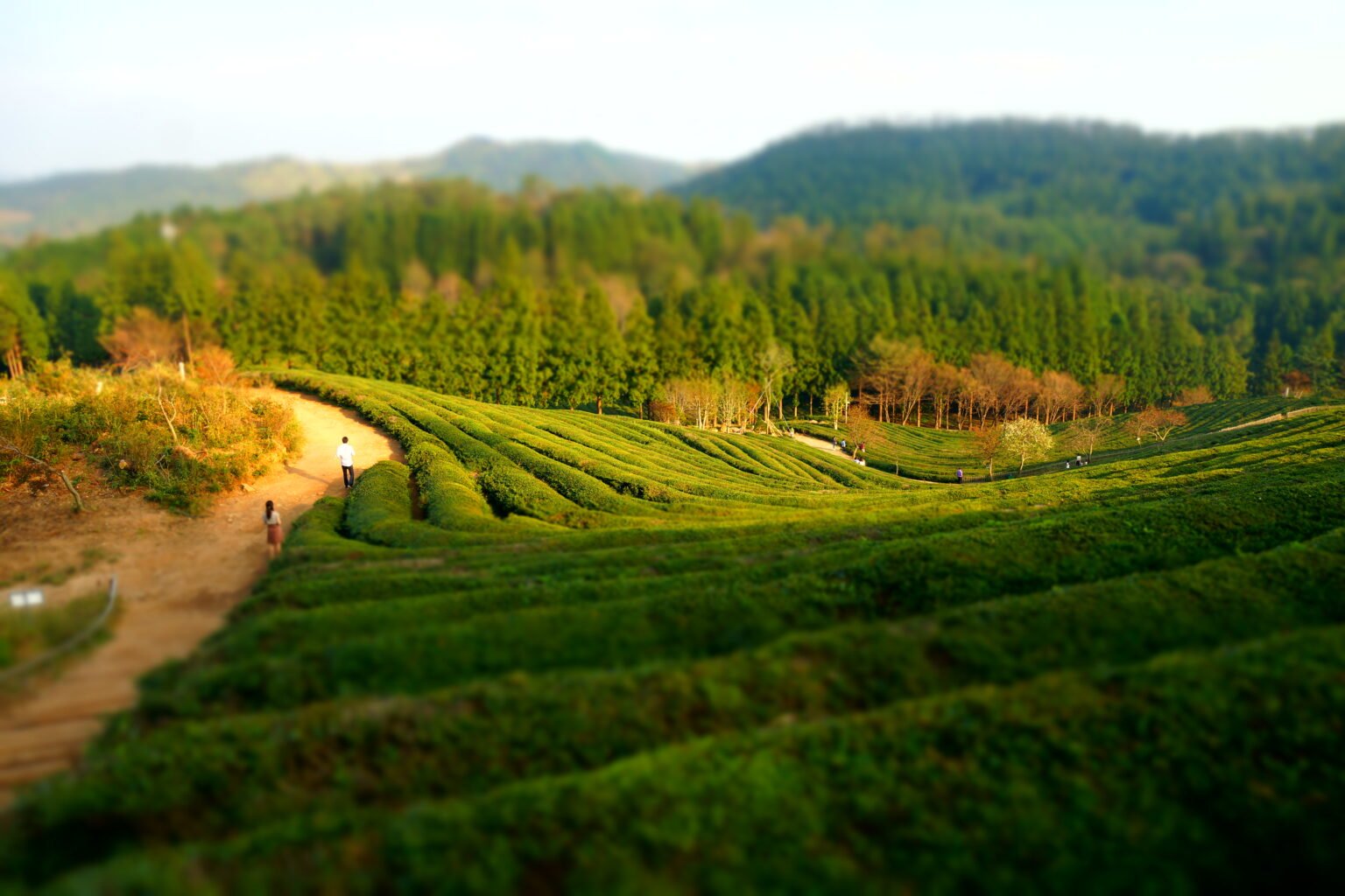 Suncheon Travel Guide: Top 20 Things to Do in Suncheon, Korea