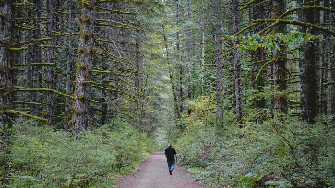 Comox Valley Travel Guide: Top Things to Do in Comox Valley, BC