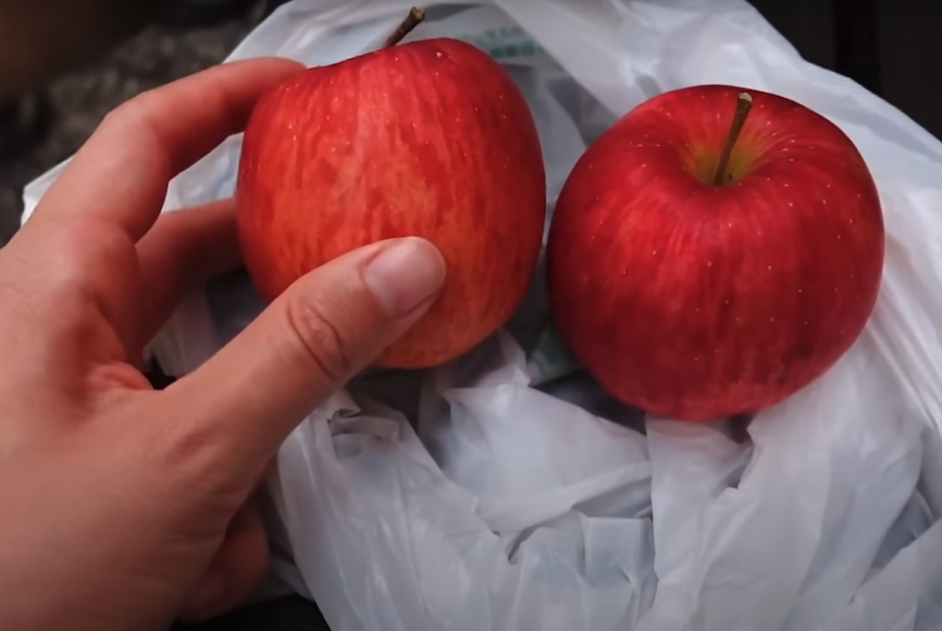 Yamanouchi Travel Guide: 7 Things to Do in Yamanouchi, Nagano