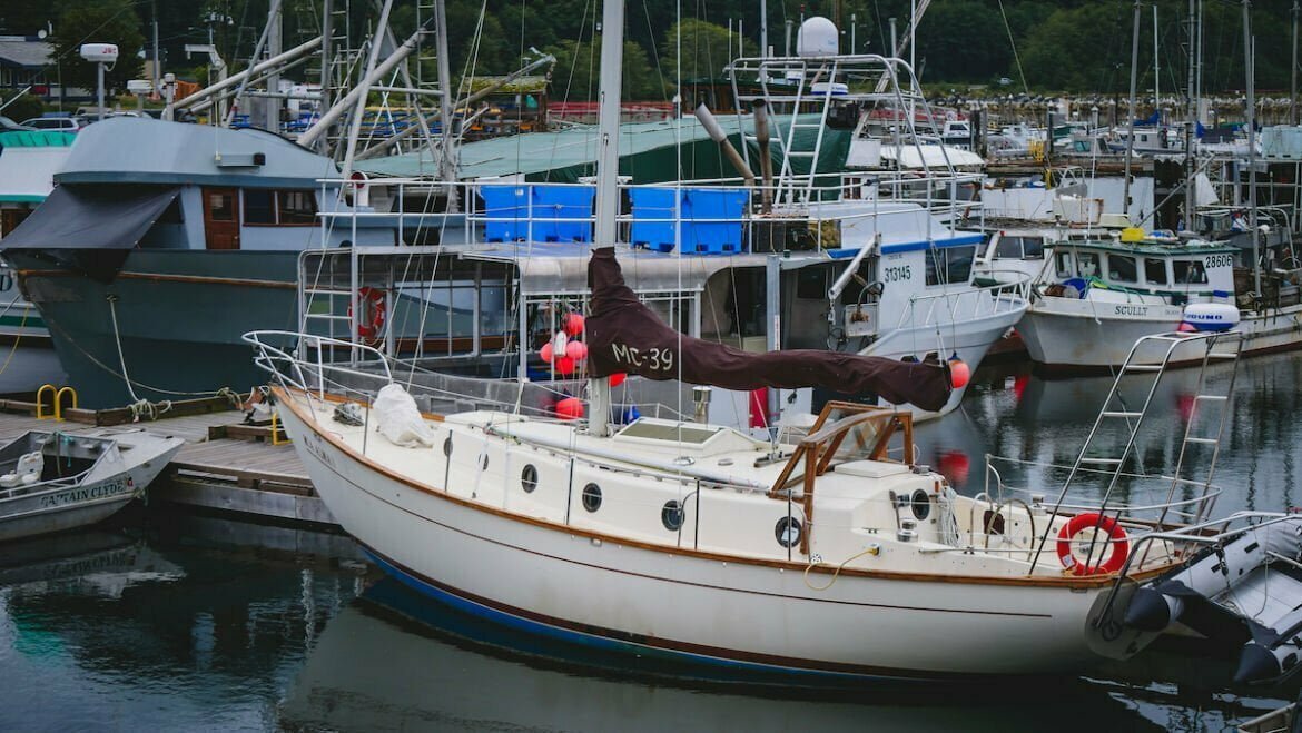Port McNeill Travel Guide: Top Things to Do in Port McNeill, BC