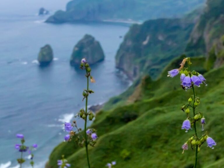 Muroran Travel Guide: Top 20 Things to Do in Muroran, Japan