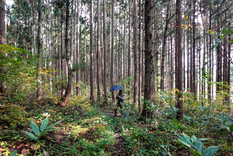 Hakuba Travel Guide: Top 8 Things to Do in Hakuba, Japan