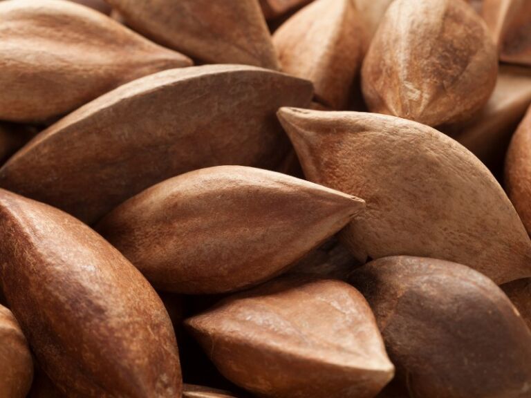 Bicol Travel Guide: Things to Do, See and Eat in Bicol, Philippines