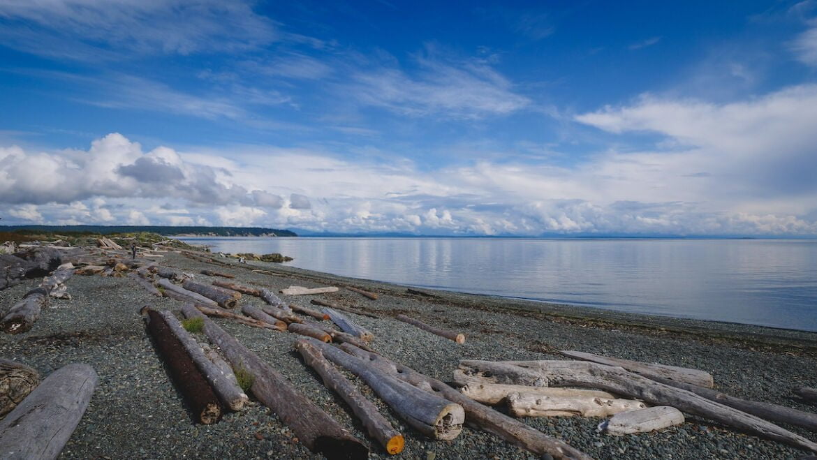 Port Alice Travel Guide: Top Things to Do, See and Eat in Port Alice