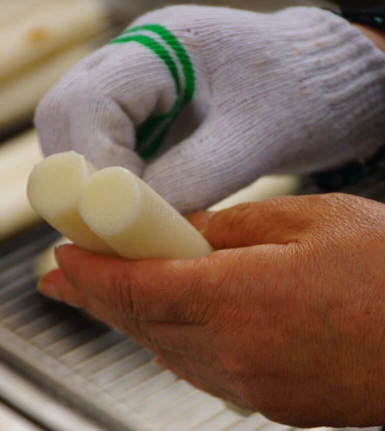 The Art of Korean Street Food: A culinary adventure in South Korea