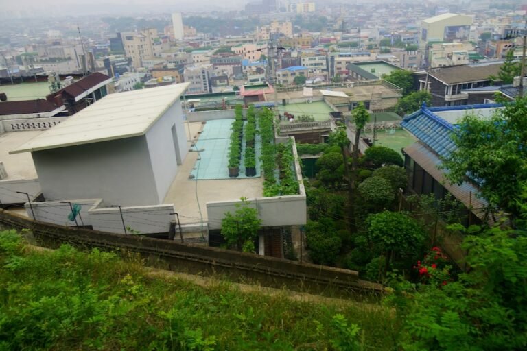 Suwon Travel Guide: Top Things to Do, See & Eat in Suwon, Korea