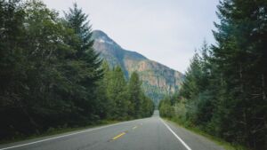 Gold River Travel Guide: Things to Do, See & Eat in Gold River, BC