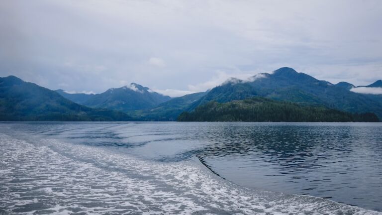 Gold River Travel Guide: Things to Do, See & Eat in Gold River, BC