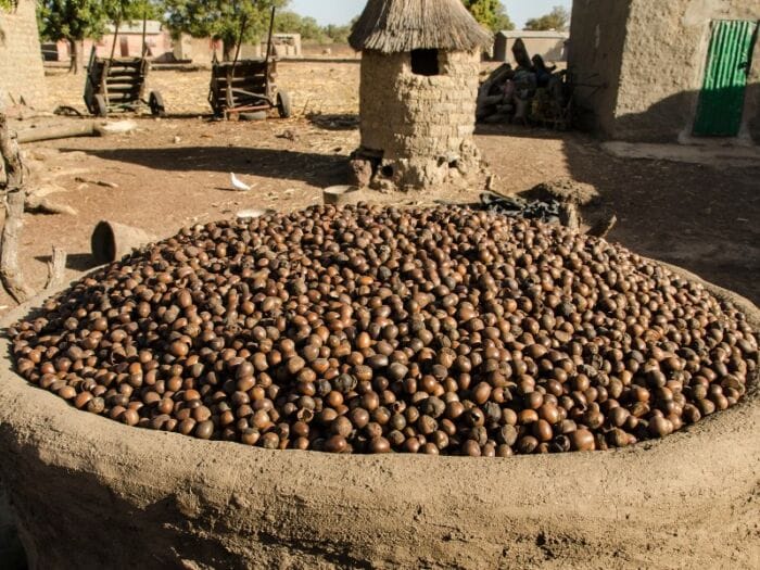 Bamako Travel Guide: Top Things to Do, See and Eat in Bamako