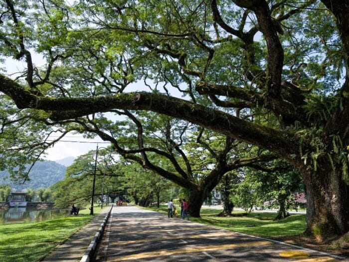 Taiping Travel Guide: Top 15 Things to Do in Taiping, Malaysia