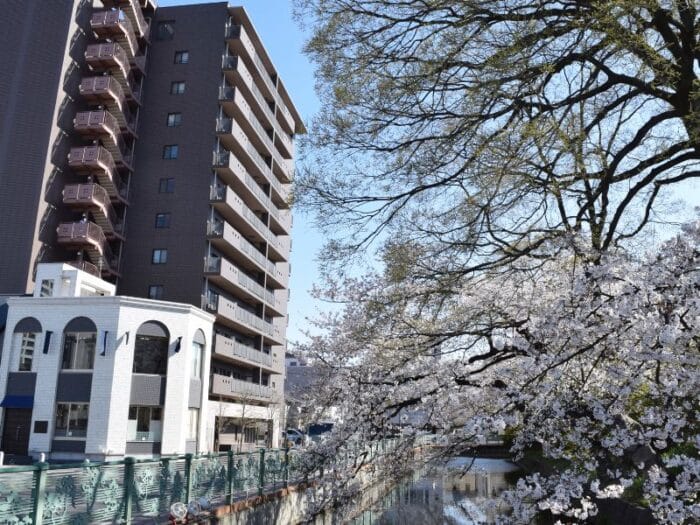 Takasaki Travel Guide: Top 20 Things to Do in Takasaki, Japan