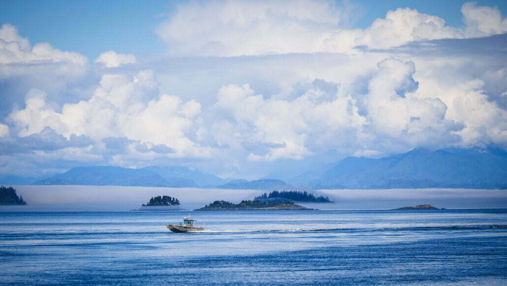 Telegraph Cove Travel Guide: Top Things to Do in Telegraph Cove