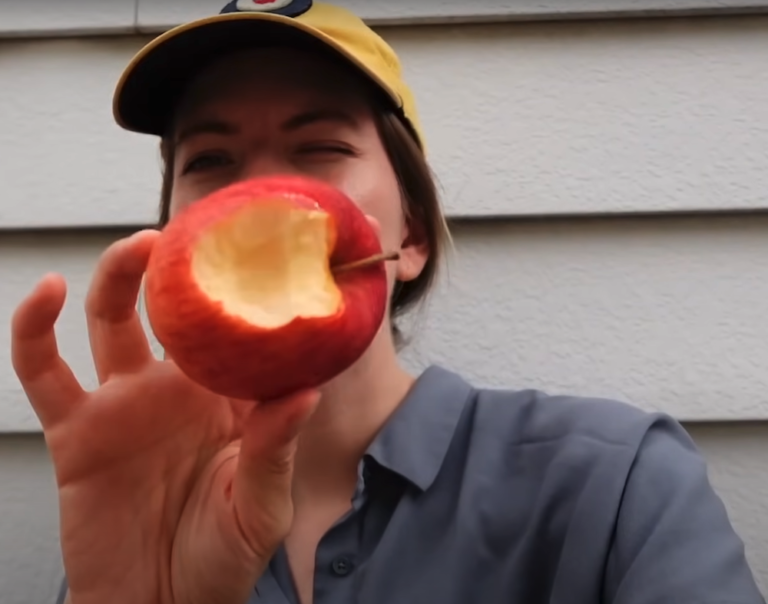 Yamanouchi Travel Guide: 7 Things to Do in Yamanouchi, Nagano