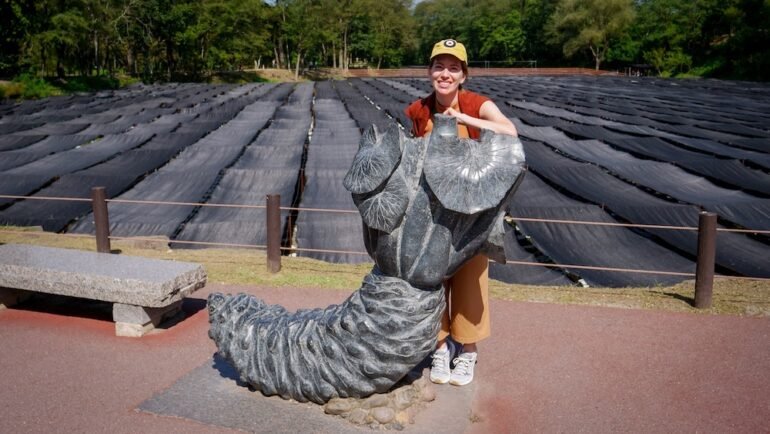 Daio Wasabi Farm in Japan: Rural Japan Day Trip from Matsumoto