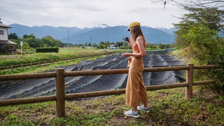 Daio Wasabi Farm in Japan: Rural Japan Day Trip from Matsumoto