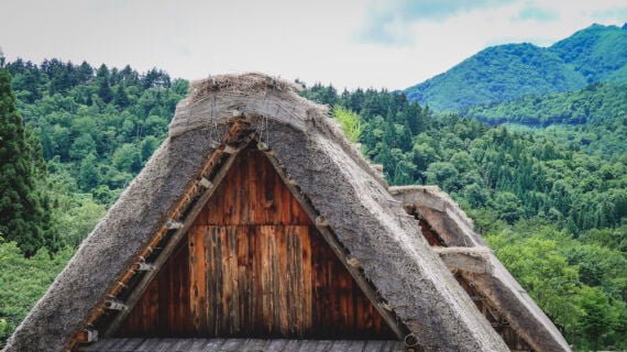 Japan's Countryside Wonders: 10 Must-Visit Rural Spots in Japan