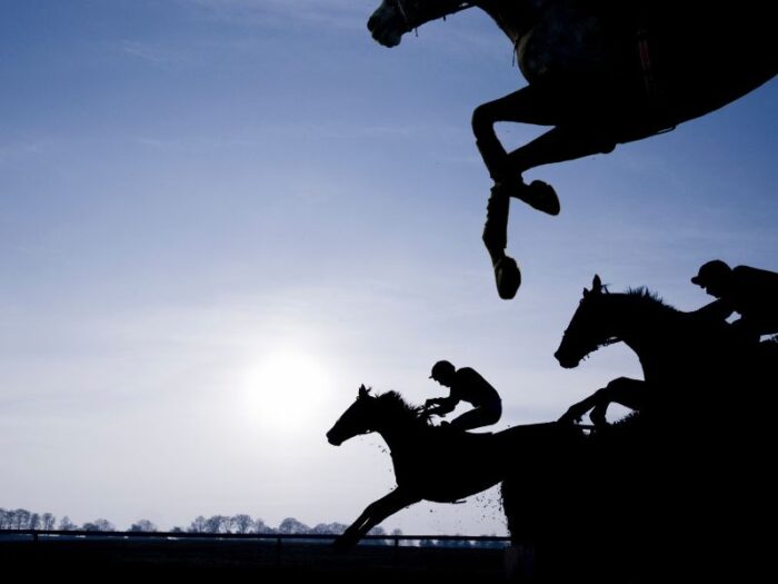 Obihiro Travel Guide: Top 20 Things to Do in Obihiro, Japan