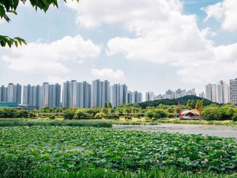 Ansan Travel Guide: Top 20 Things to Do in Ansan, South Korea