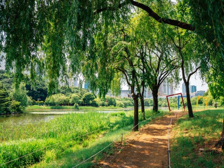 Goyang Travel Guide: Top 10 Things to Do in Goyang, South Korea