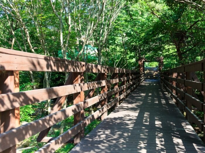 Jecheon Travel Guide: Top 10 Things to Do in Jecheon, Korea
