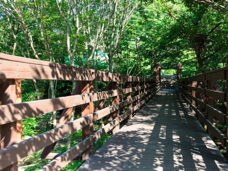 Jecheon Travel Guide: Top 10 Things to Do in Jecheon, Korea