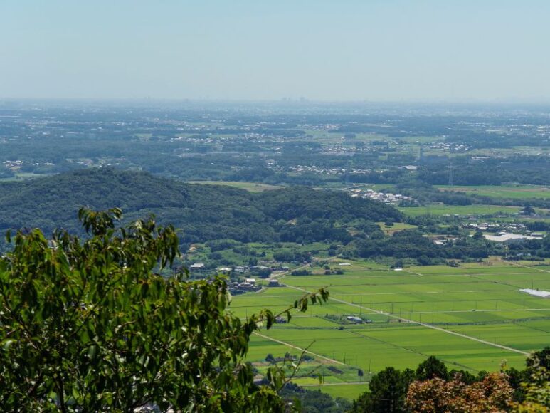 Tsukuba Travel Guide: Top 20 Things to Do in Tsukuba, Japan