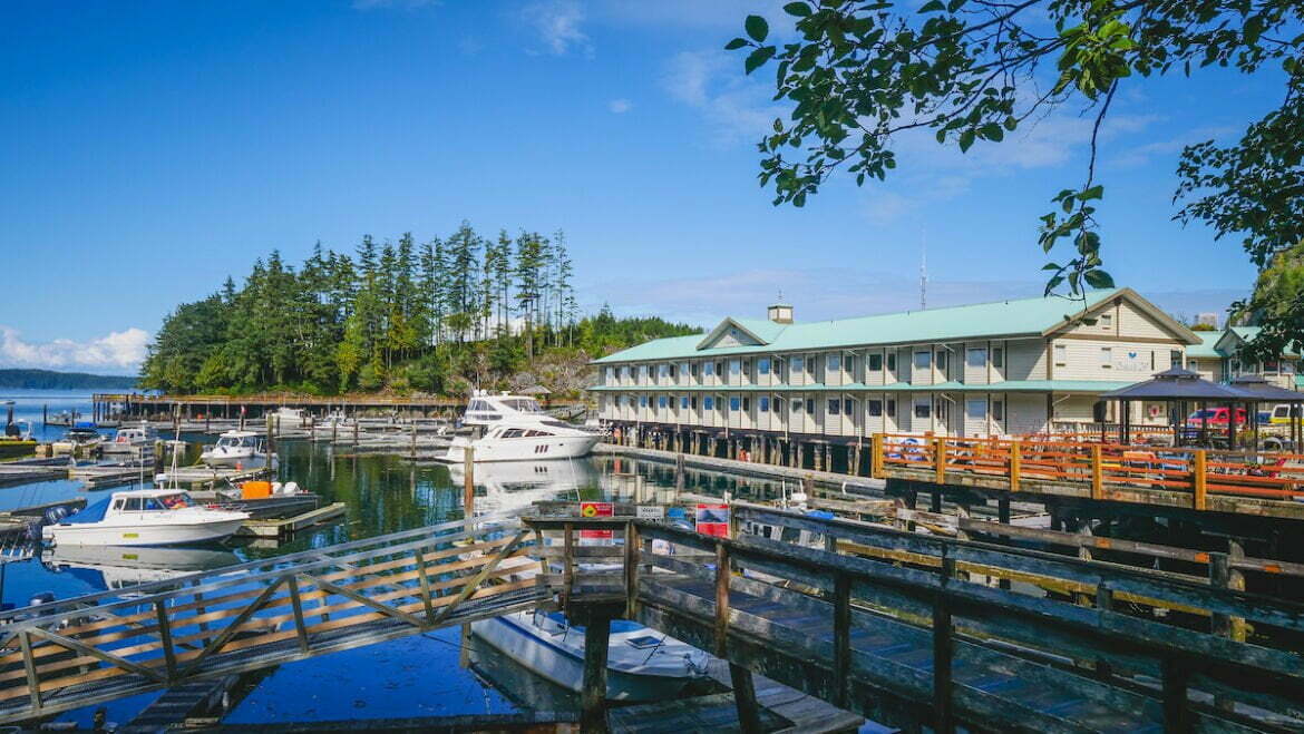 Telegraph Cove Travel Guide: Top Things to Do in Telegraph Cove