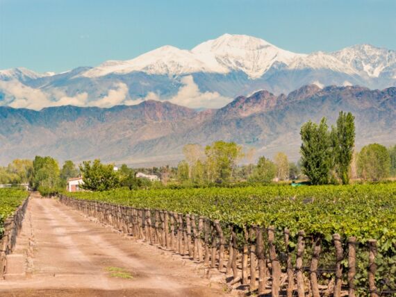 Mendoza Travel Guide: 33 Top Things to Do in Mendoza, Argentina