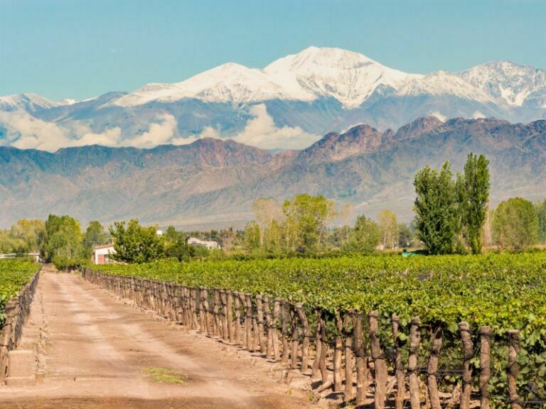 Mendoza Travel Guide: 33 Top Things to Do in Mendoza, Argentina