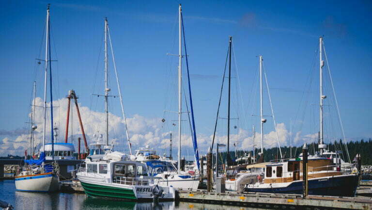 Alert Bay Travel Guide: Top Things to Do, See and Eat in Alert Bay