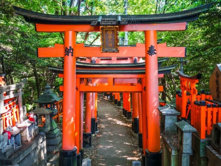 Wakayama Travel Guide: Top 20 Things to Do in Wakayama, Japan